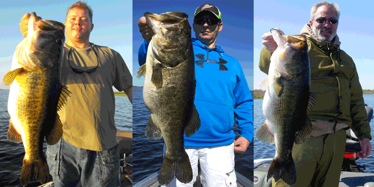 Orlando Bass Fishing Report Lake Toho, St Johns River, Harris Chain